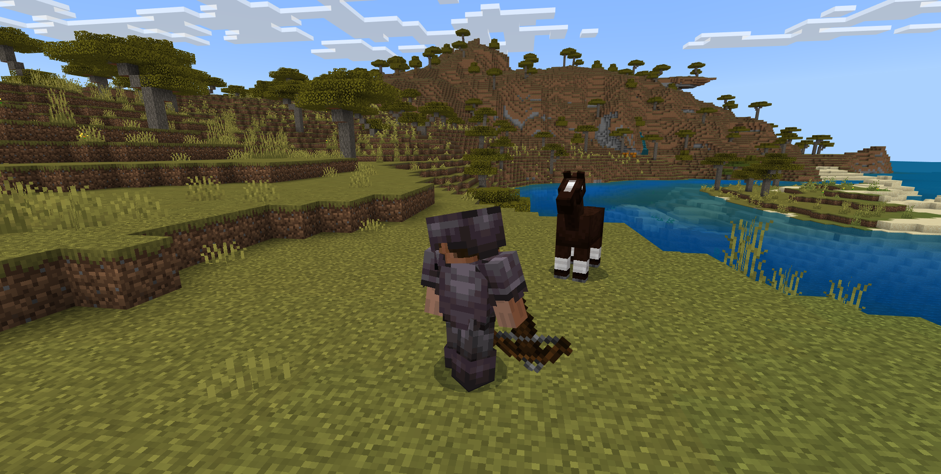 Текстуры «Анимация персонажа» для Minecraft Bedrock Edition