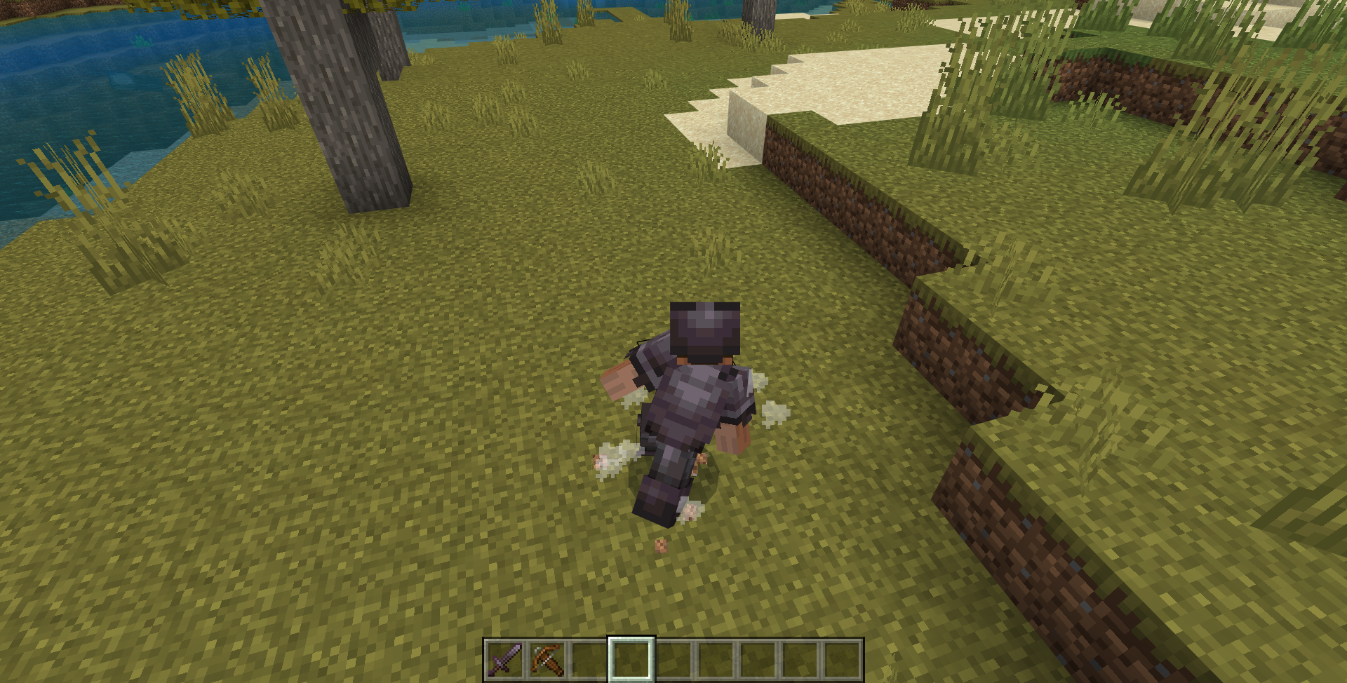 Текстуры «Анимация персонажа» для Minecraft Bedrock Edition